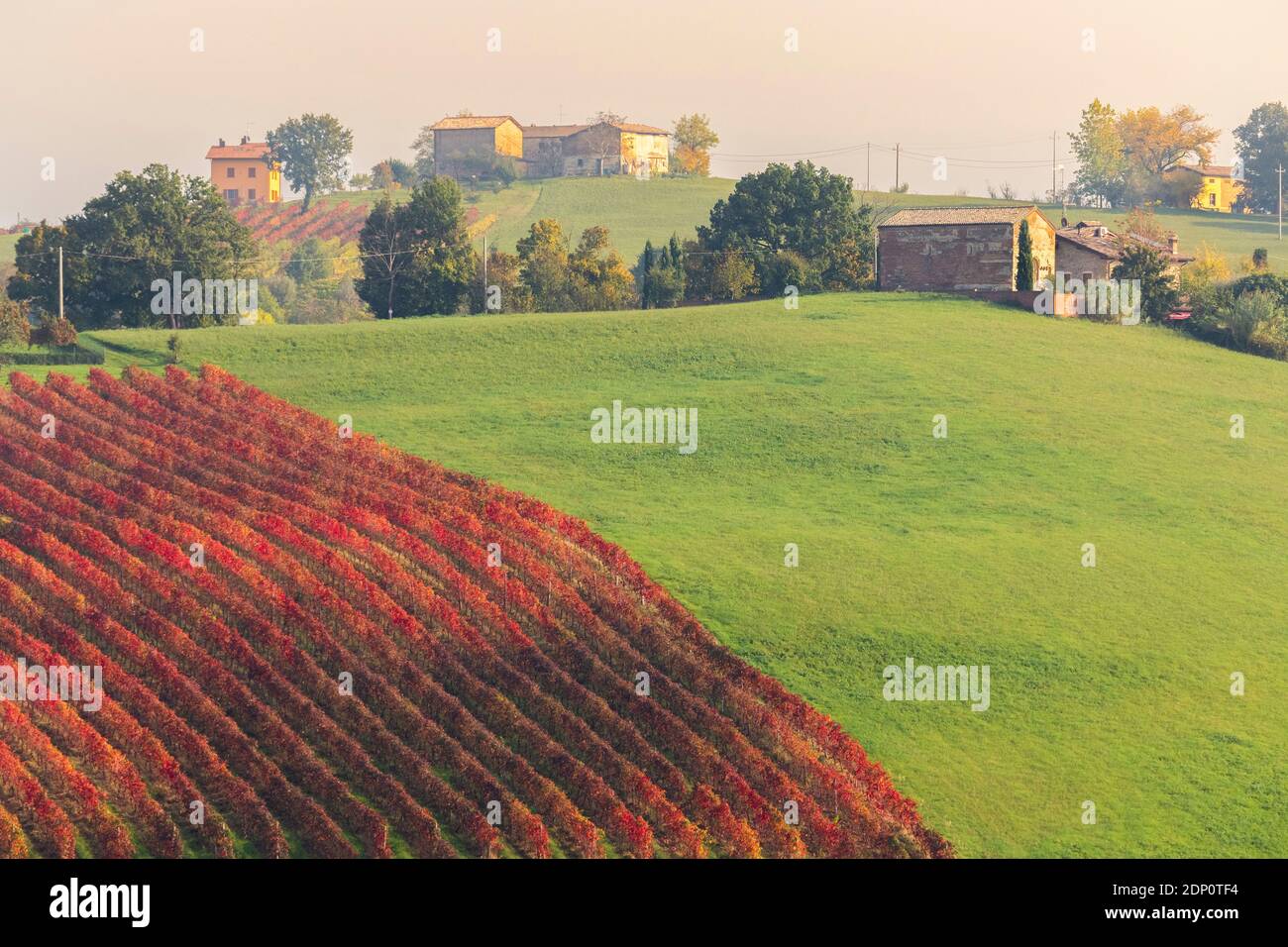 Castelvetro Di Modena High Resolution Stock Photography and Images - Alamy