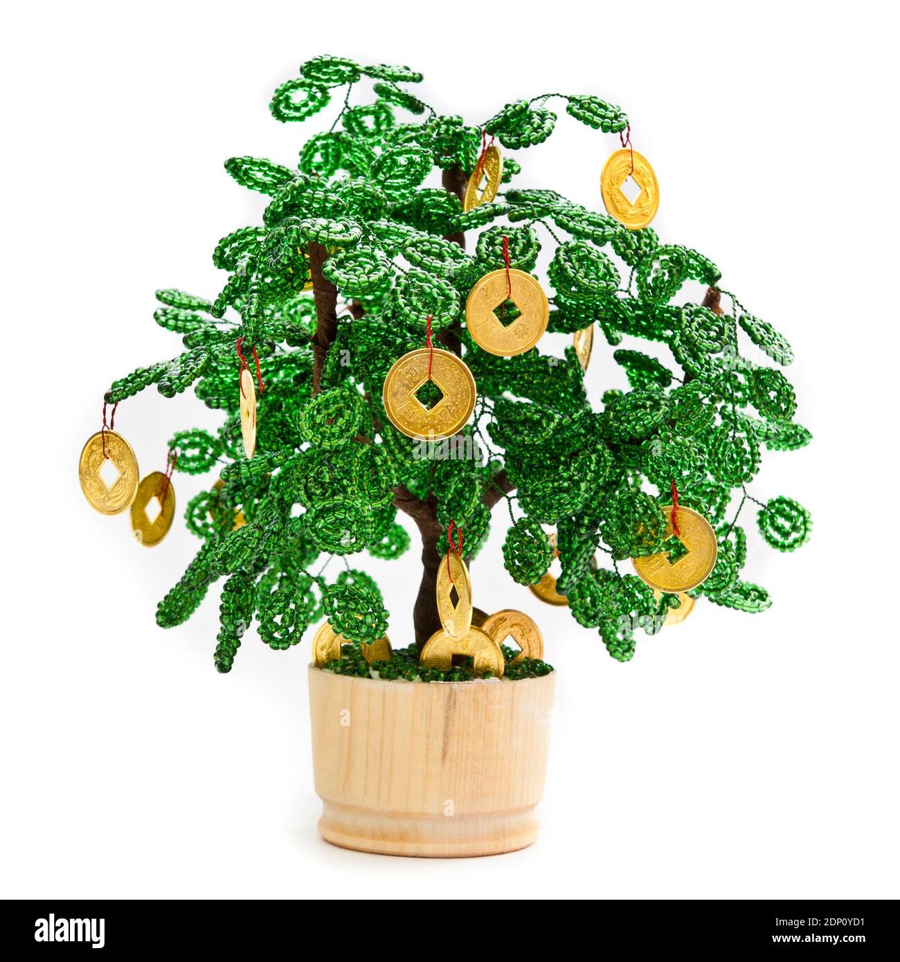 money tree isolated on a white background Stock Photo - Alamy