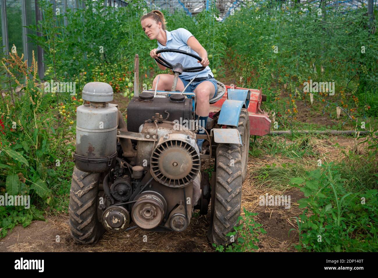 young woman working on a tractor in a greenhouse Stock Photo - Alamy