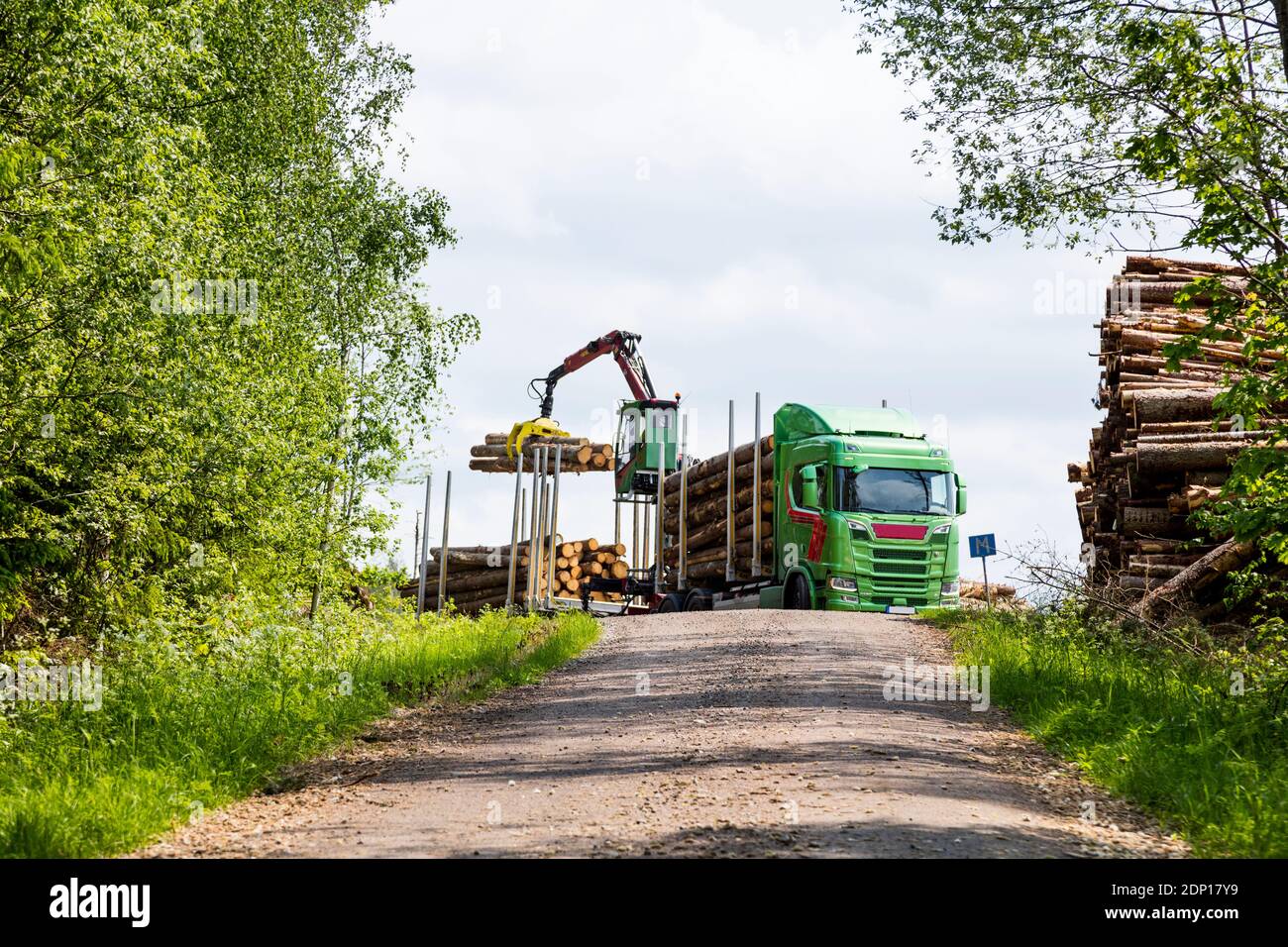 Crane loading logs on lorry Stock Photo - Alamy