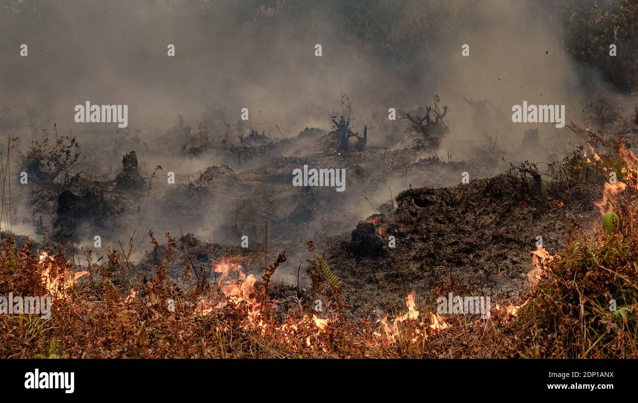 Southeast asia fire pollution hi-res stock photography and images - Alamy