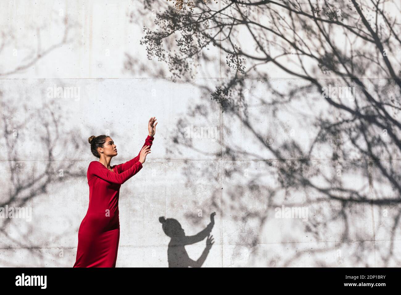 Woman in red dress with dancer pose and tree shadows on wall Stock ...