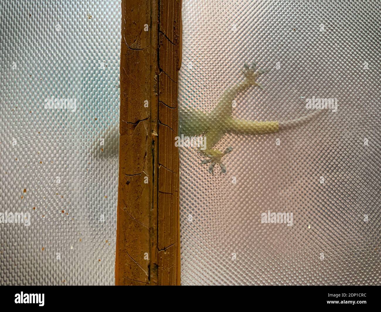 Ratanada hi-res stock photography and images - Alamy