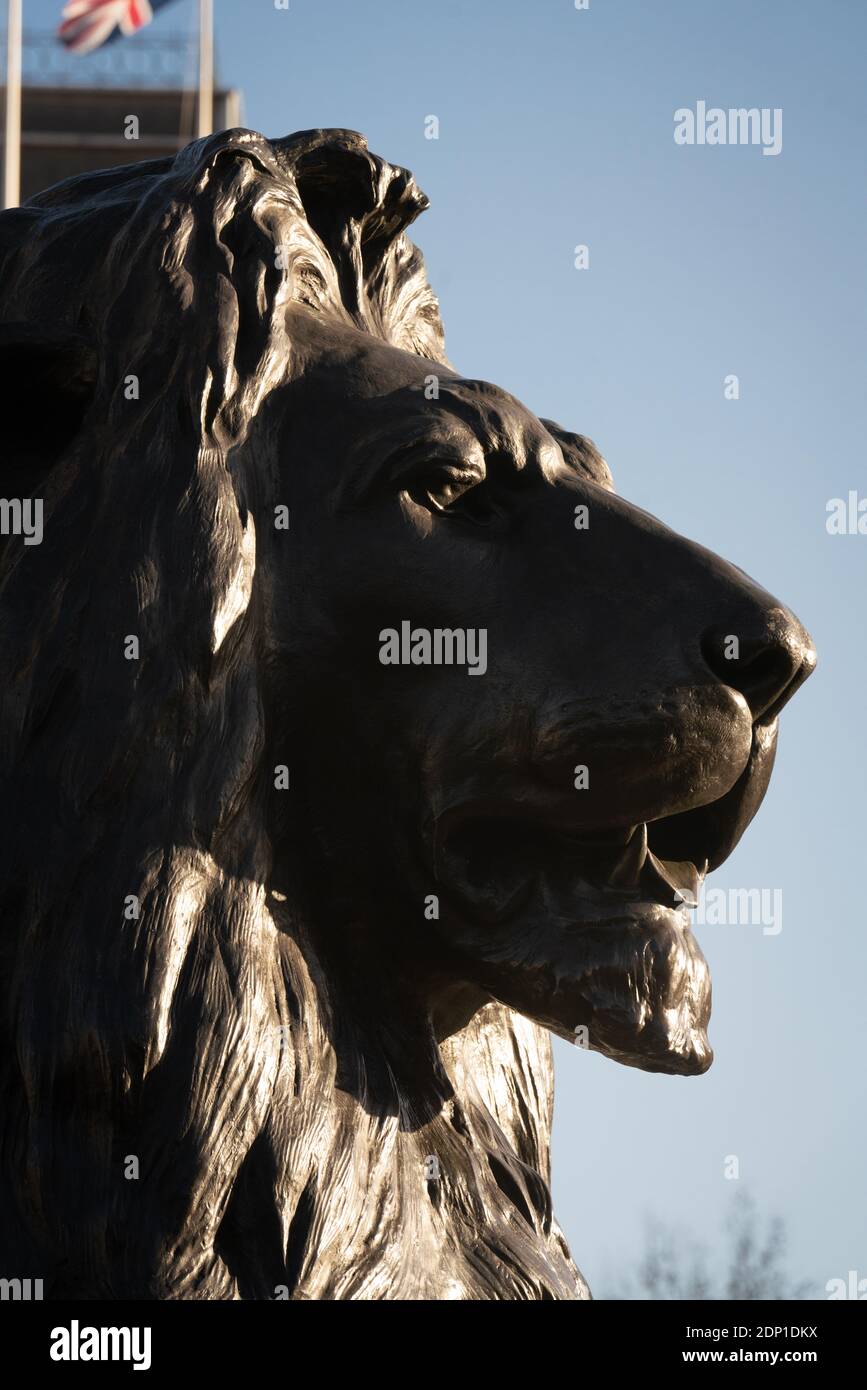 Trafalgar Square lion statue Stock Photo - Alamy