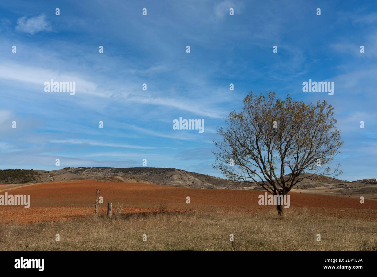 Sunny autumn sky hi-res stock photography and images - Alamy
