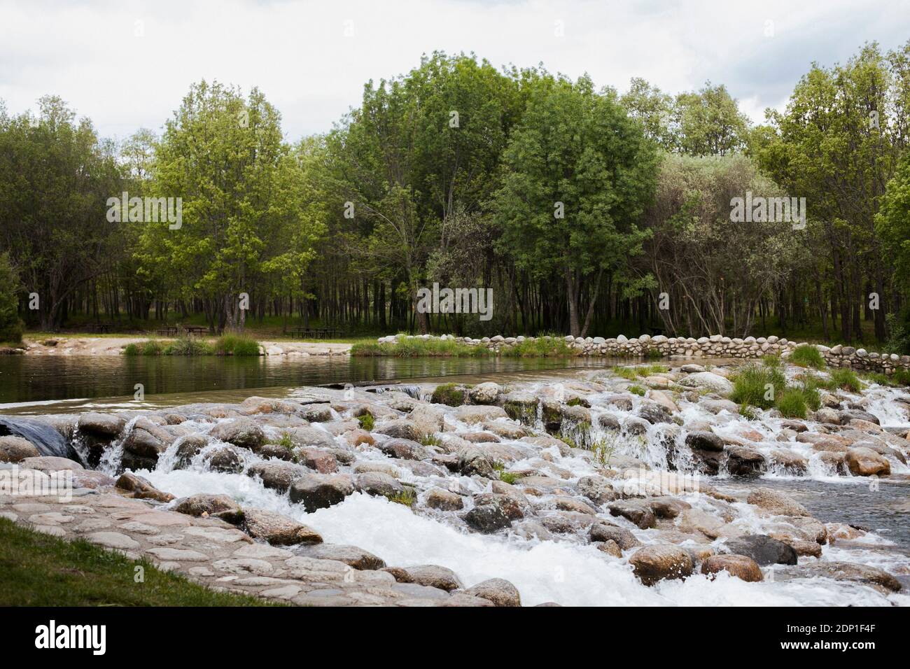 Nature scene of a water dam with stones and green trees in the river ...