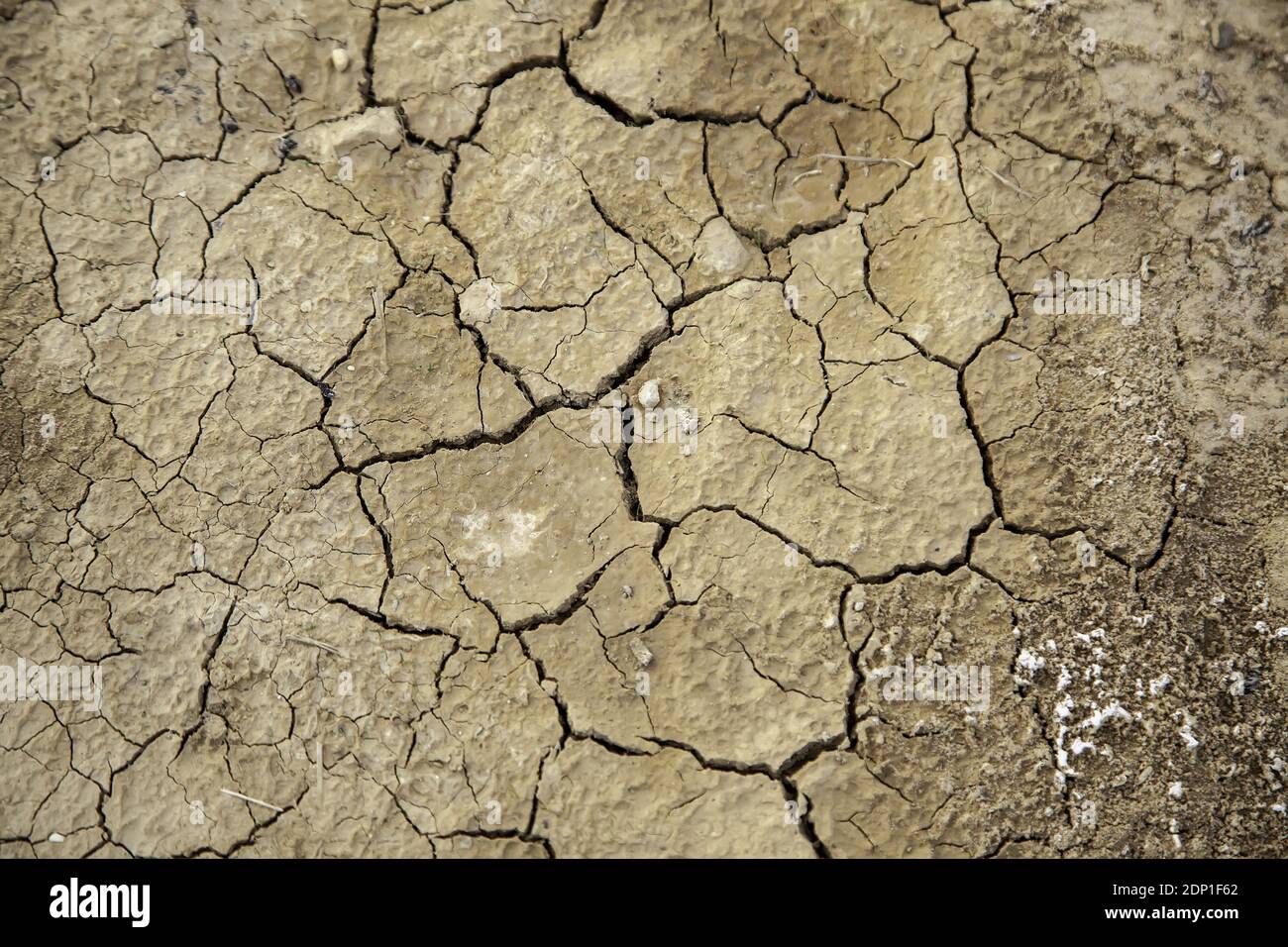 detail of climate change, destruction and heat, destruction of the ...