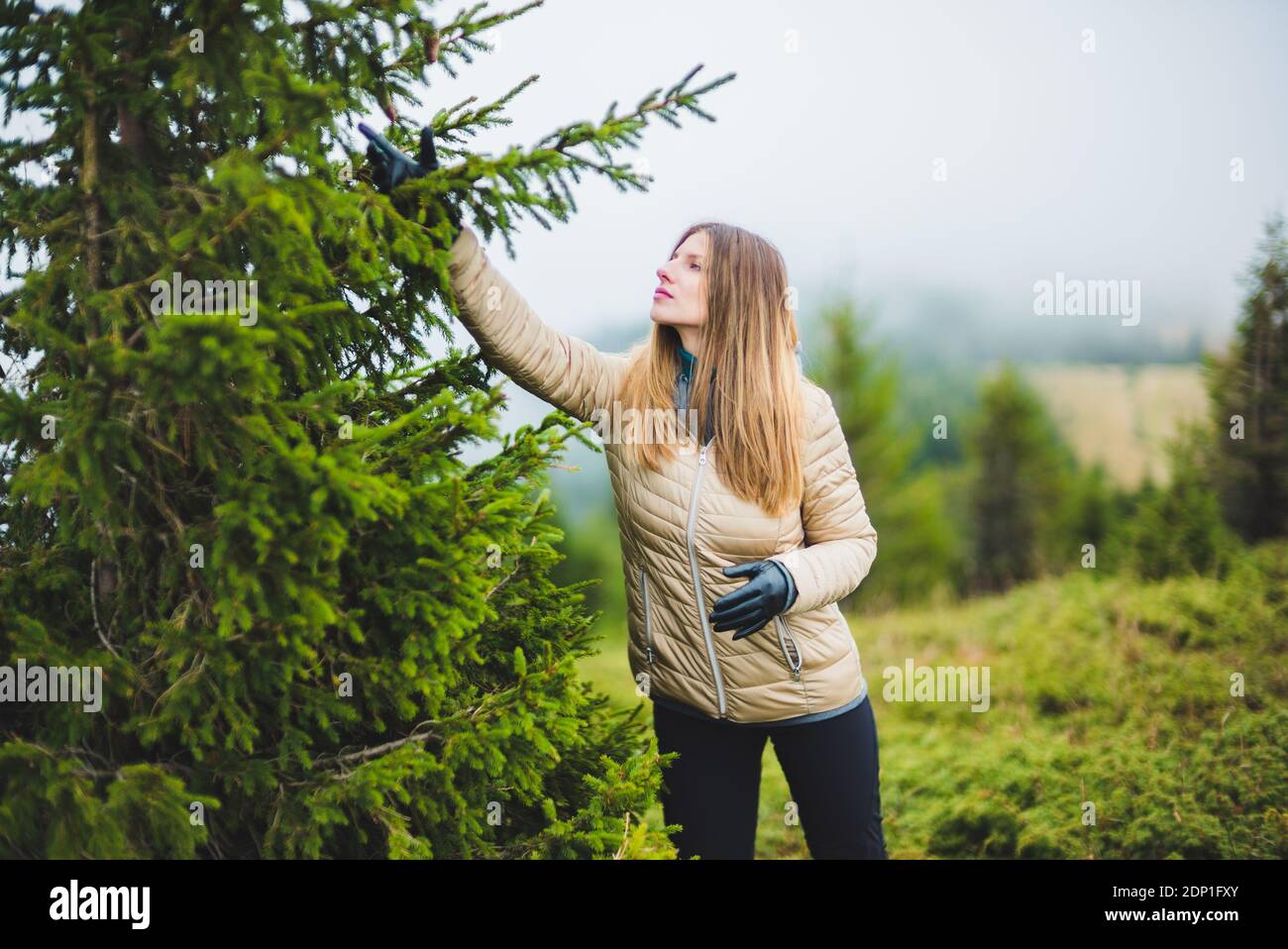 Blonde Girl by the Pine Tree Stock Photo - Alamy
