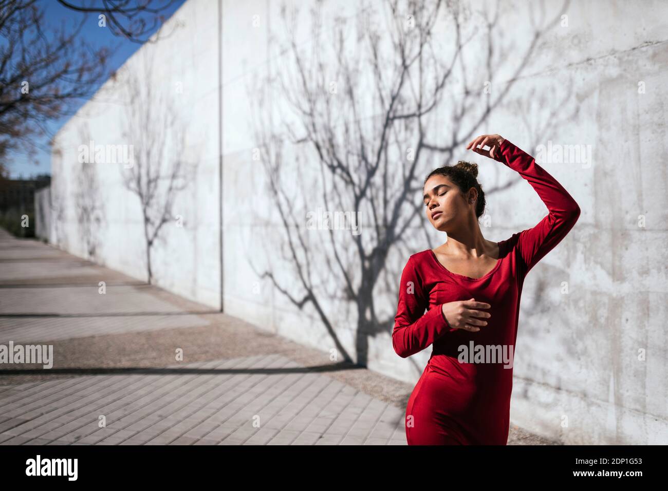 Woman in red dress with dancer pose and tree shadows on wall Stock ...