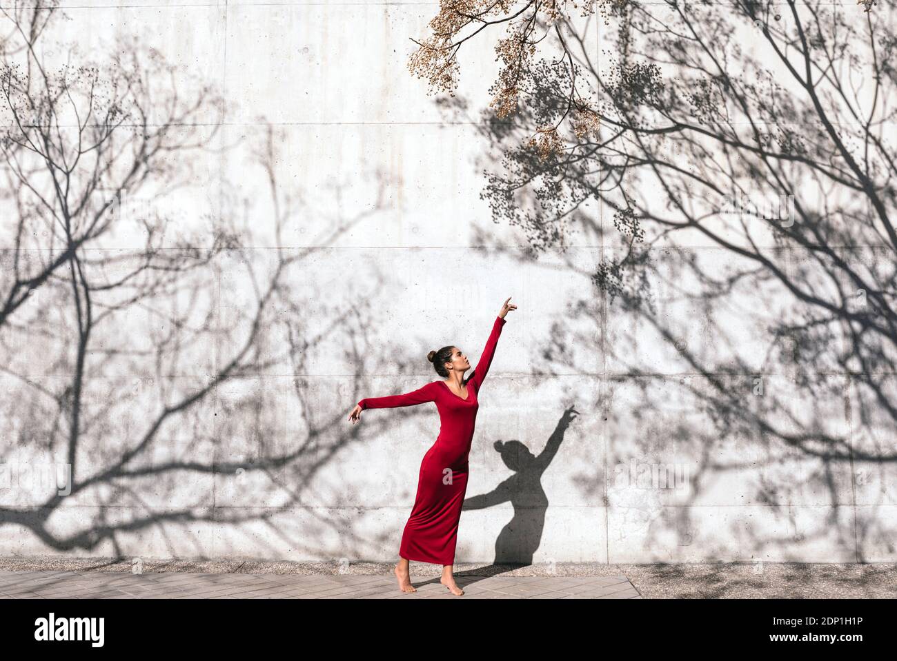 Woman in red dress with dancer pose and tree shadows on wall Stock ...