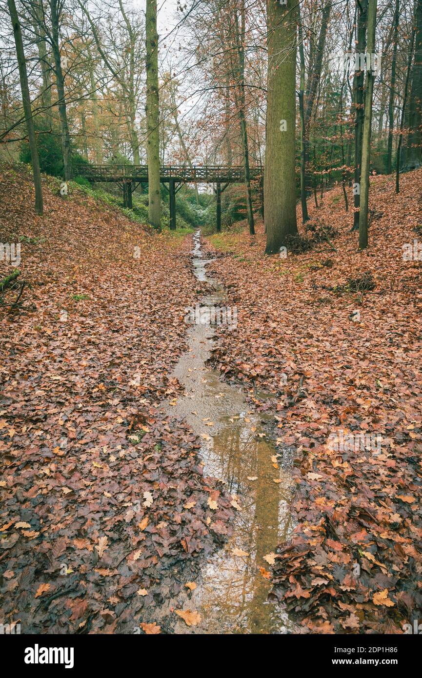 Surrounded by dead hi-res stock photography and images - Alamy