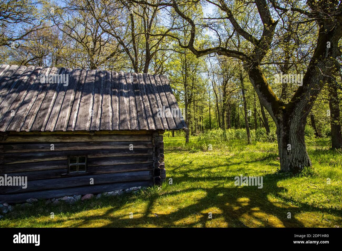 Traditional old wooden baltic house in magic green woods Stock Photo ...
