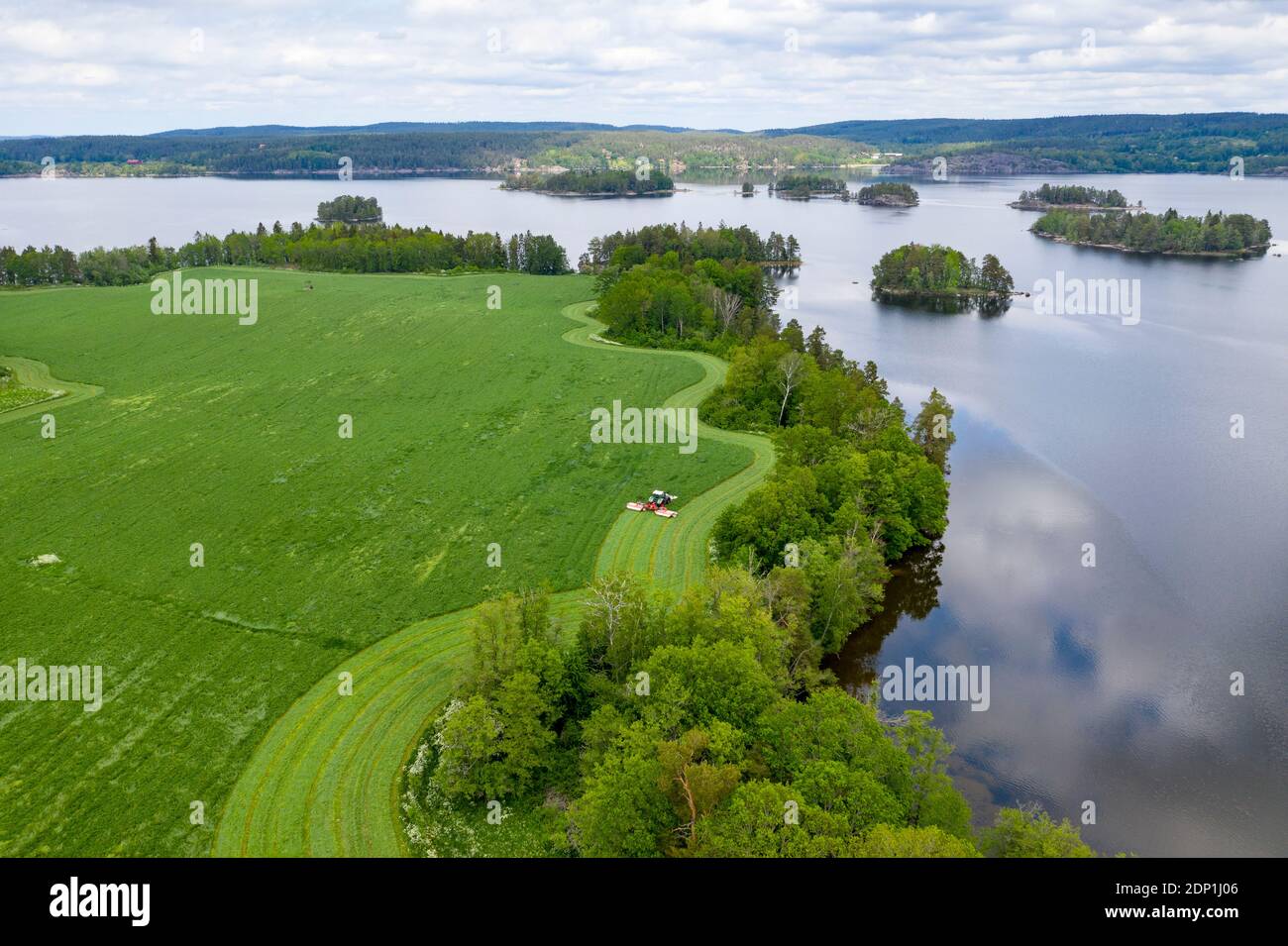 Field at lake Stock Photo - Alamy