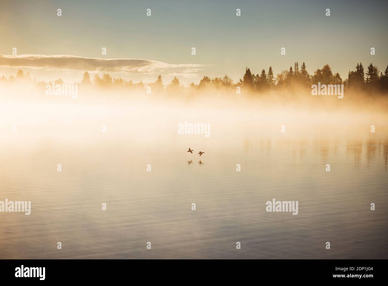 Fog over lake at sunrise Stock Photo - Alamy