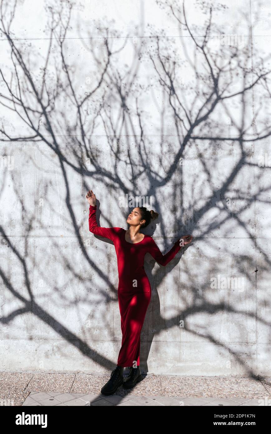 Woman in red dress with dancer pose and tree shadows on wall Stock ...