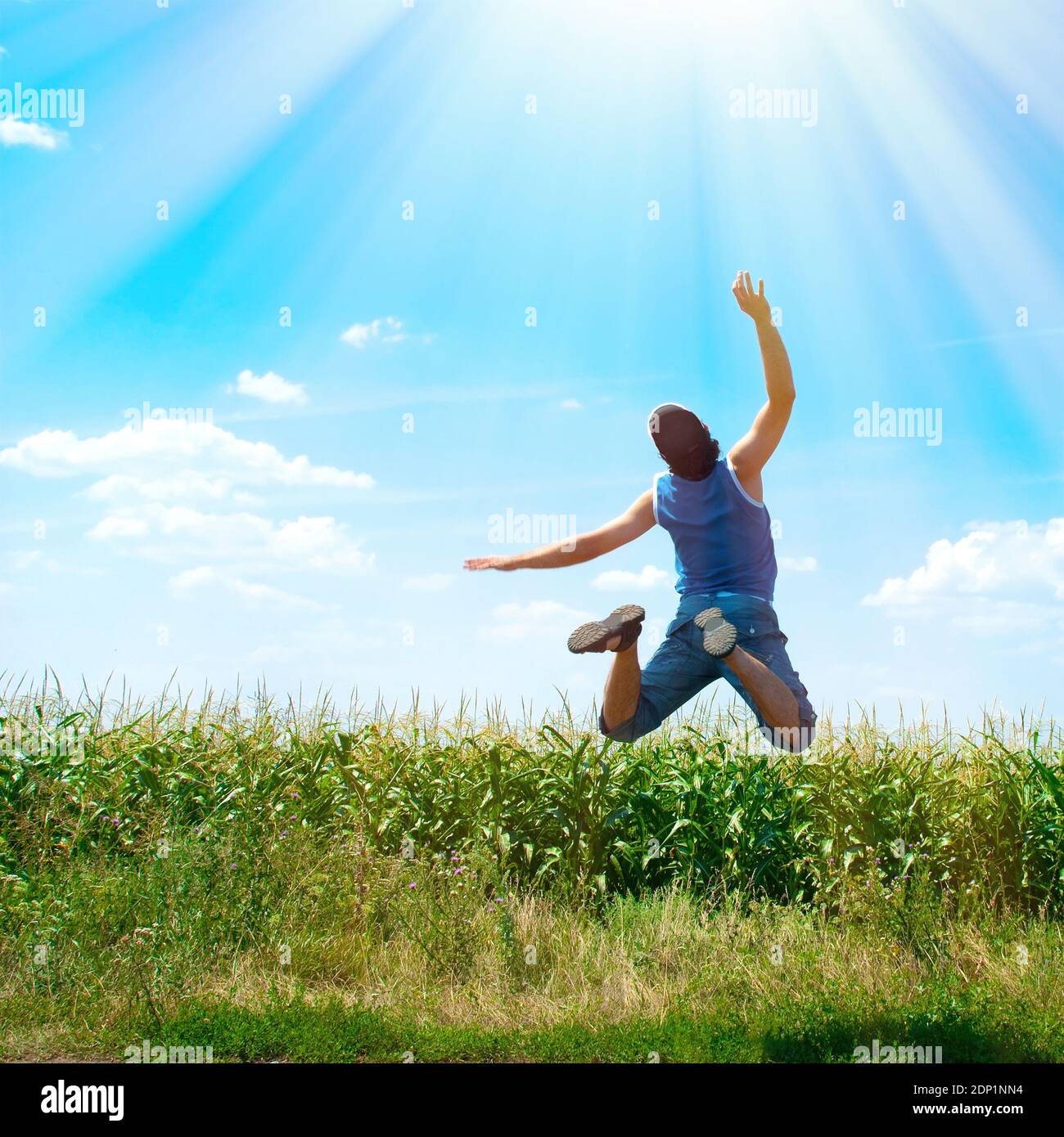 man jumping in a corn field Stock Photo - Alamy