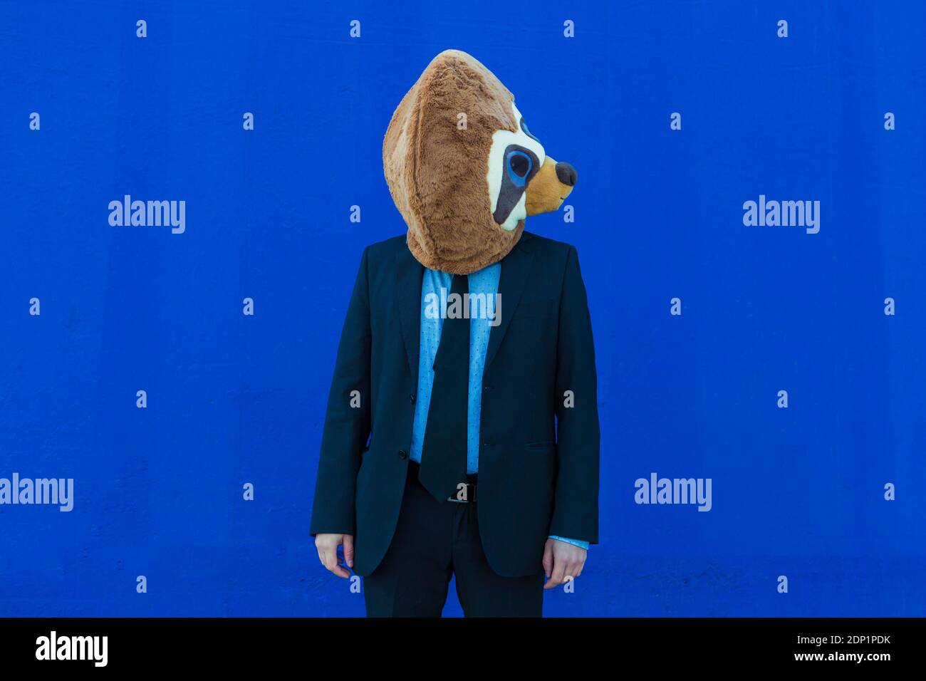 Businessman in black suit with meerkat mask standing in front of blue ...