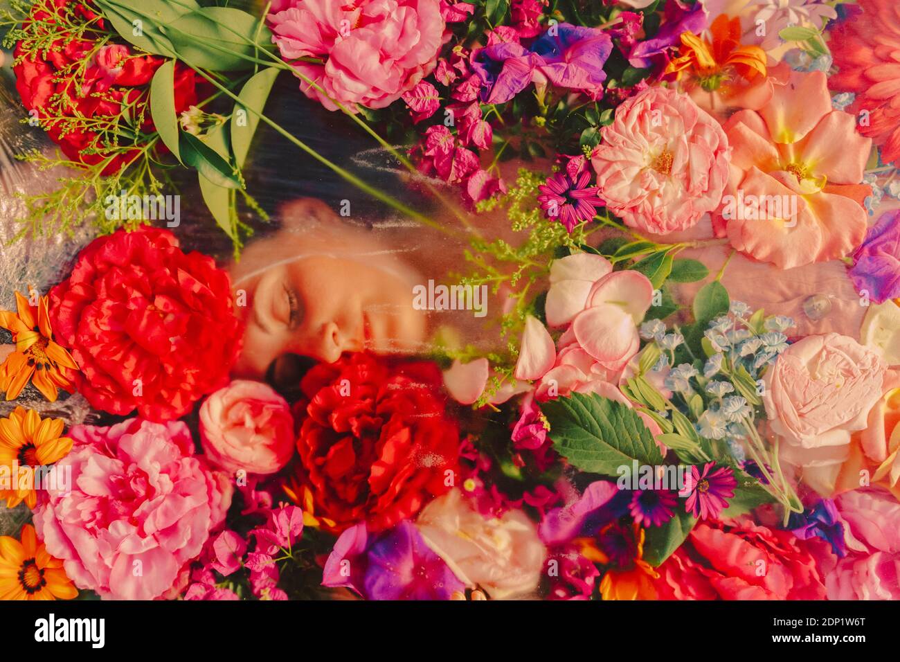 Beautiful woman sleeping under glass pane with flowers Stock Photo - Alamy