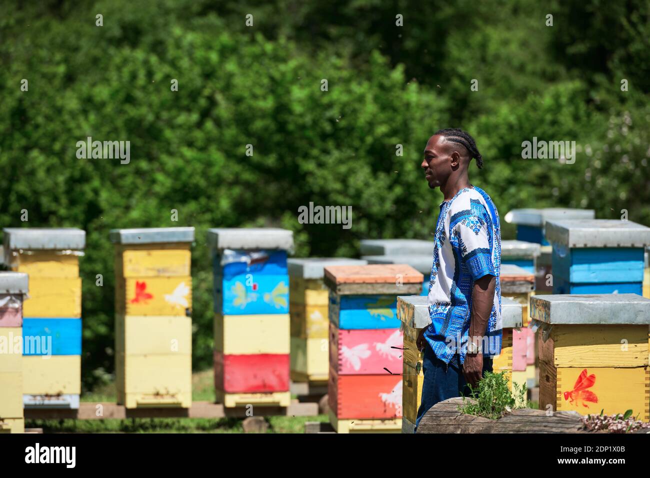 african beekeeper local black honey producer Stock Photo - Alamy