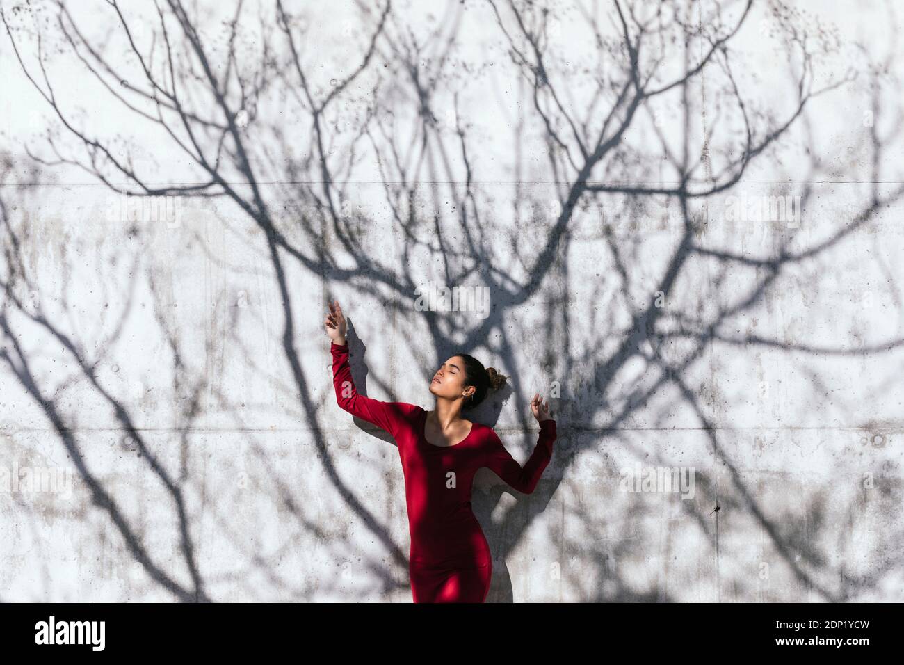 Woman in red dress with dancer pose and tree shadows on wall Stock ...