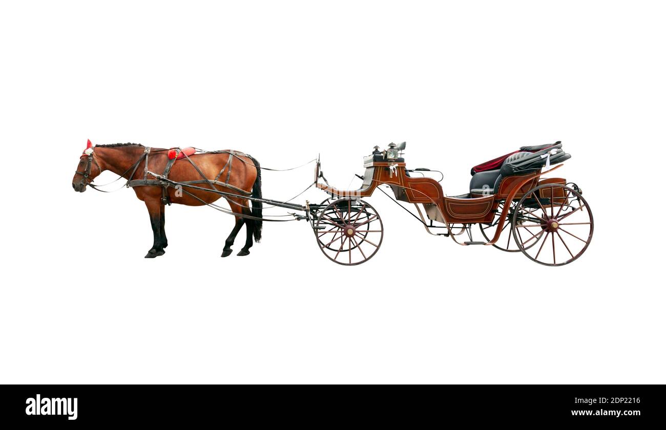 Brown horse and old classic open carriage coach Isolated on white ...