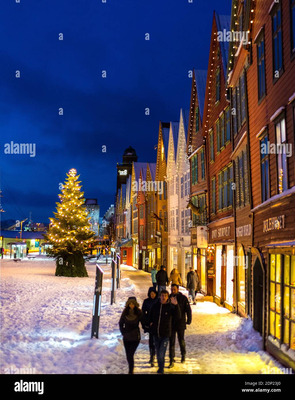 Christmas tree in front of Bryggen in Bergen, Norway. Bryggen is on the ...