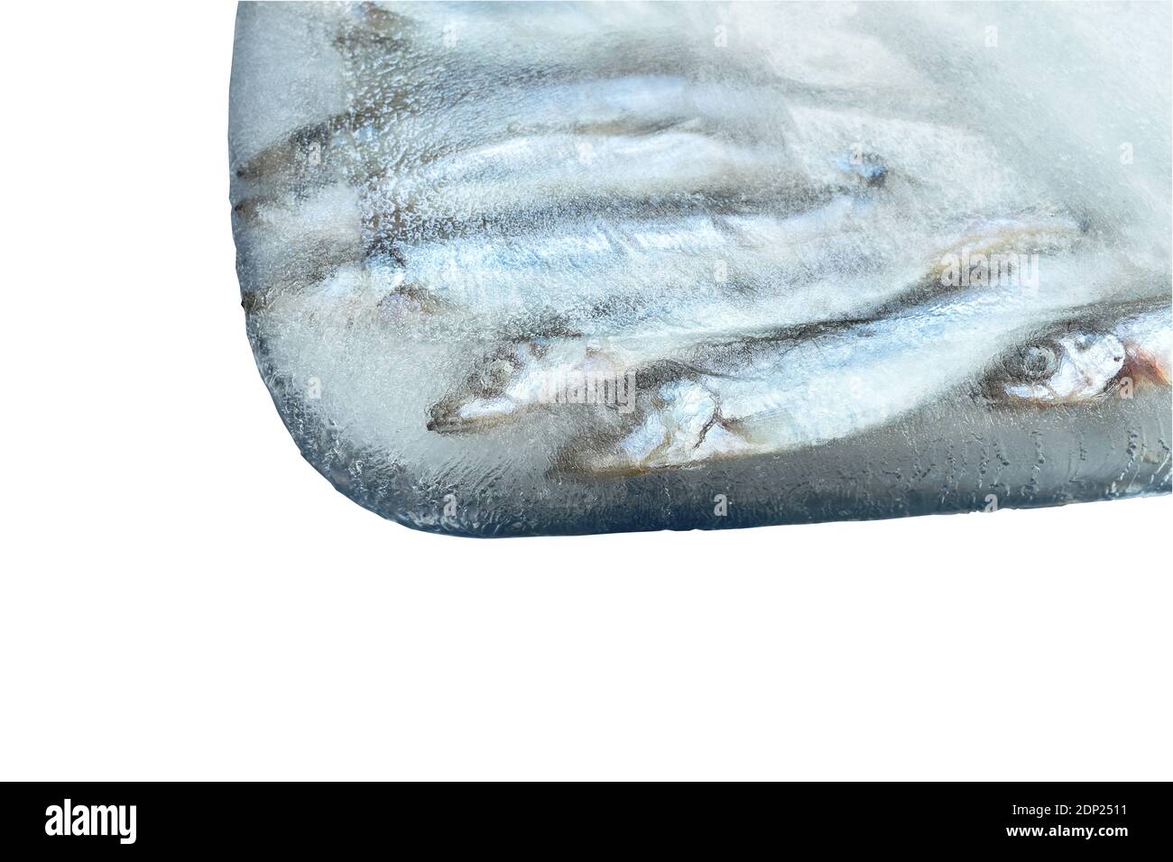 Fish frozen in ice block hi-res stock photography and images - Alamy