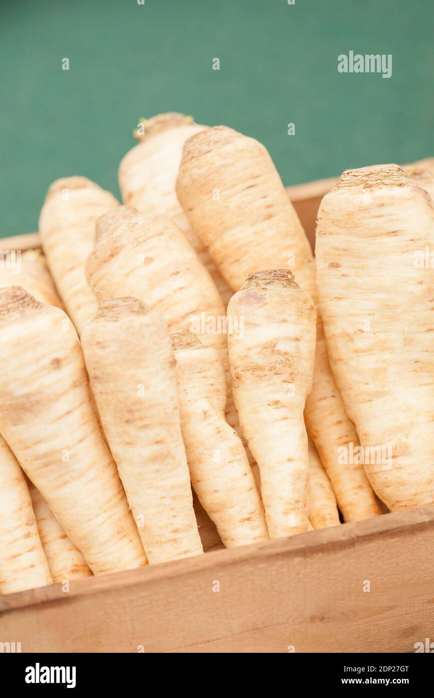 Tuberous root roots hi-res stock photography and images - Alamy