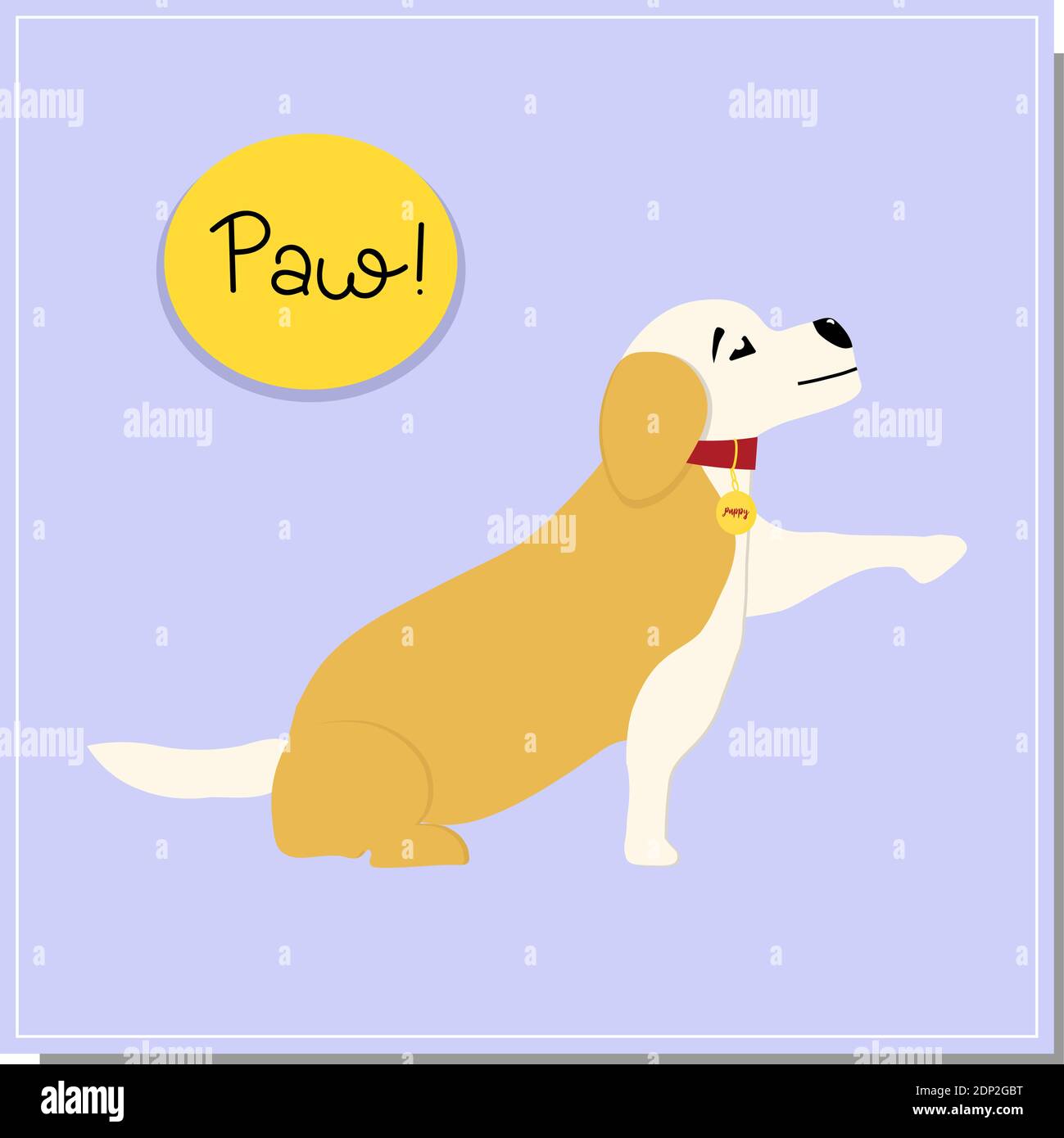 DOG training, the dog gives a paw. team.Beautiful dog training, great ...