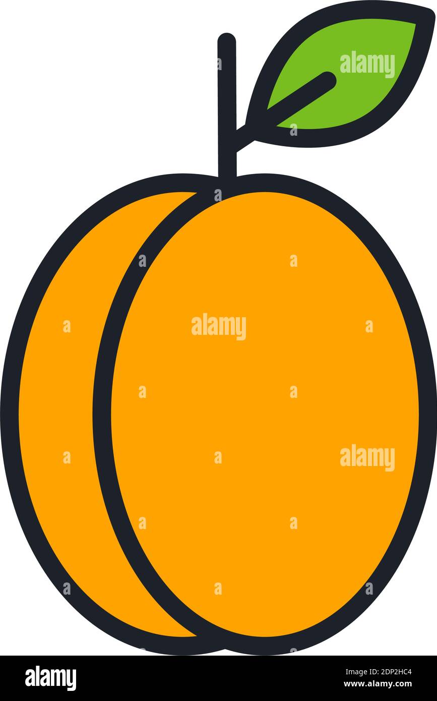 Apricot icon. Linear color icon, contour, shape, outline. Thin line ...