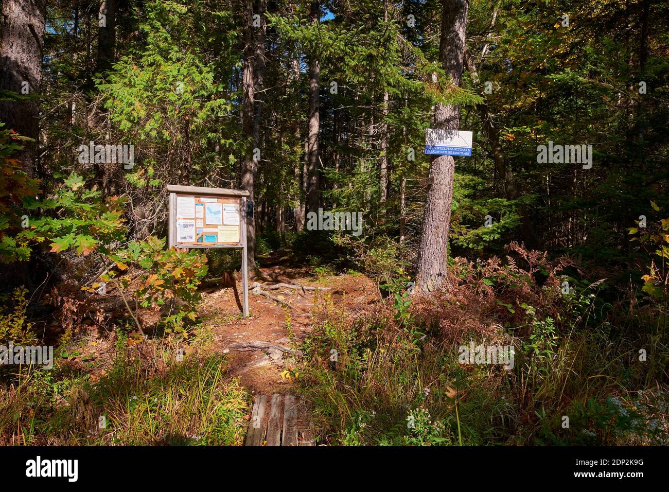 The trailhead entrance with announcement signs. On the Furth Talalay ...