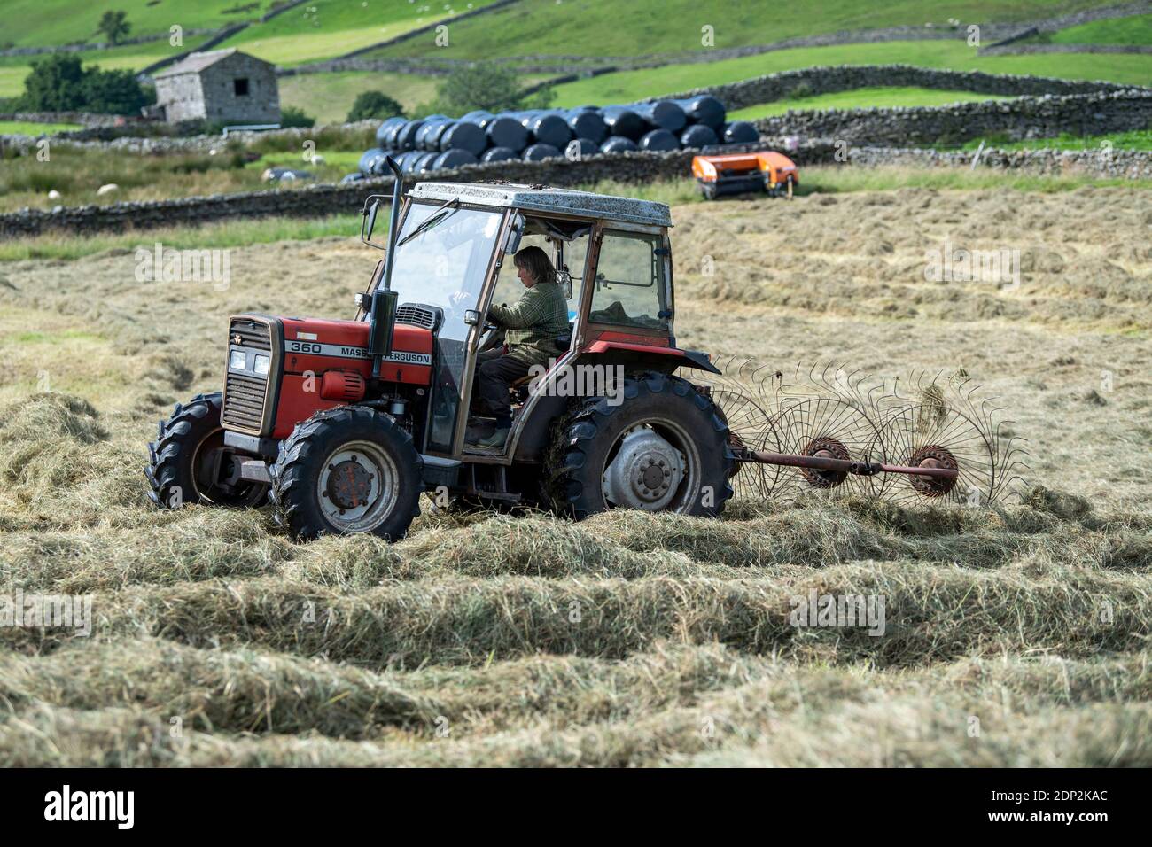 Farmer in Swaledale, North Yorkshire, rowing up hay in a traditional ...