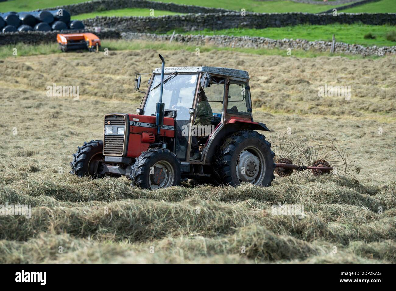 Farmer in Swaledale, North Yorkshire, rowing up hay in a traditional ...