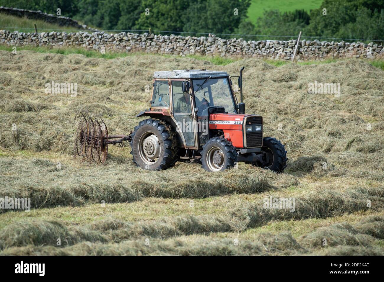 Farmer in Swaledale, North Yorkshire, rowing up hay in a traditional ...