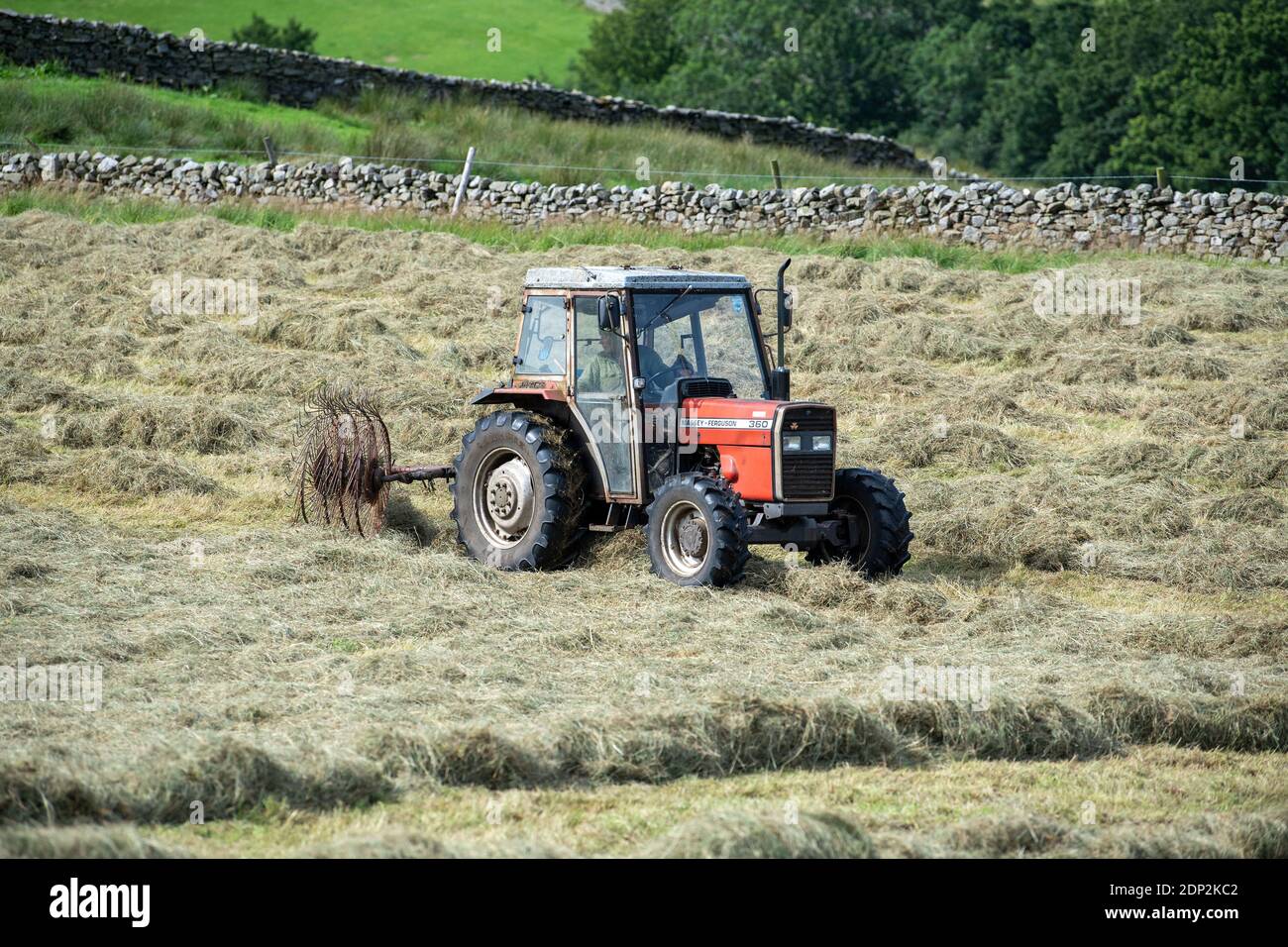 Farmer in Swaledale, North Yorkshire, rowing up hay in a traditional ...