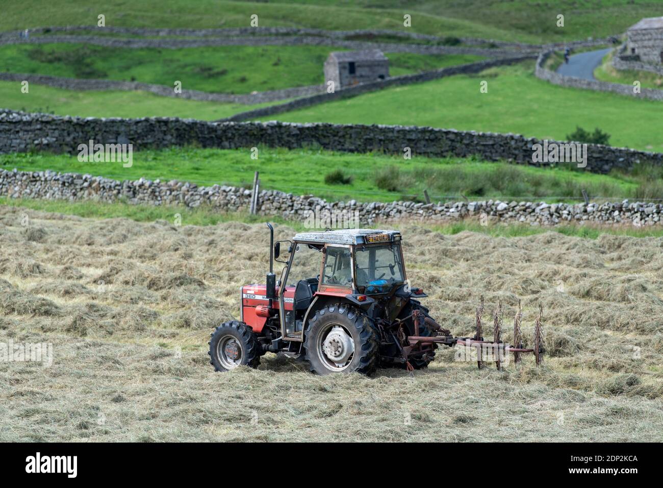 Farmer in Swaledale, North Yorkshire, rowing up hay in a traditional ...