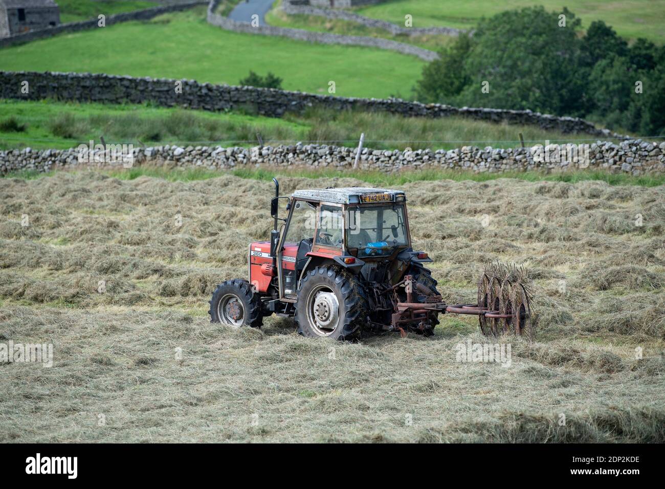 Farmer in Swaledale, North Yorkshire, rowing up hay in a traditional ...