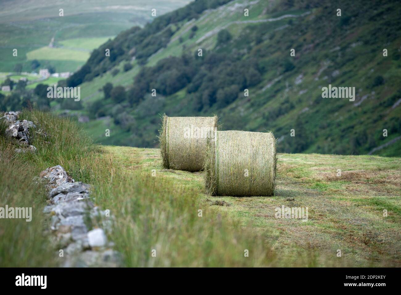 Making round bales of silage on a steep upland meadow in Swaledale ...