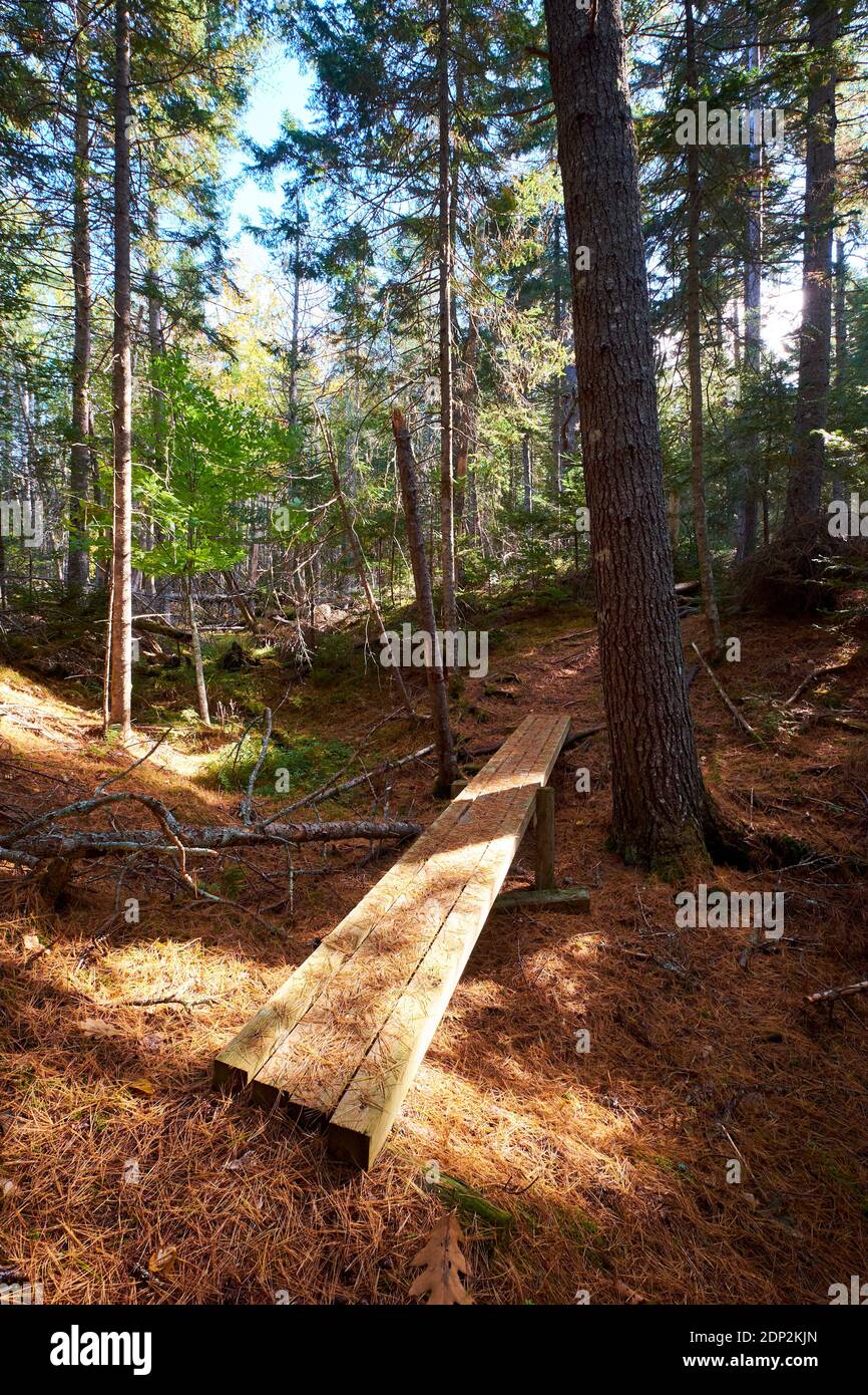 Protected pedestrian walkway hi-res stock photography and images - Alamy