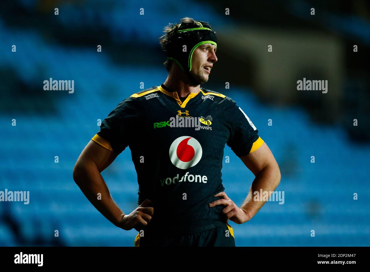 James gaskell wasps hi-res stock photography and images - Alamy