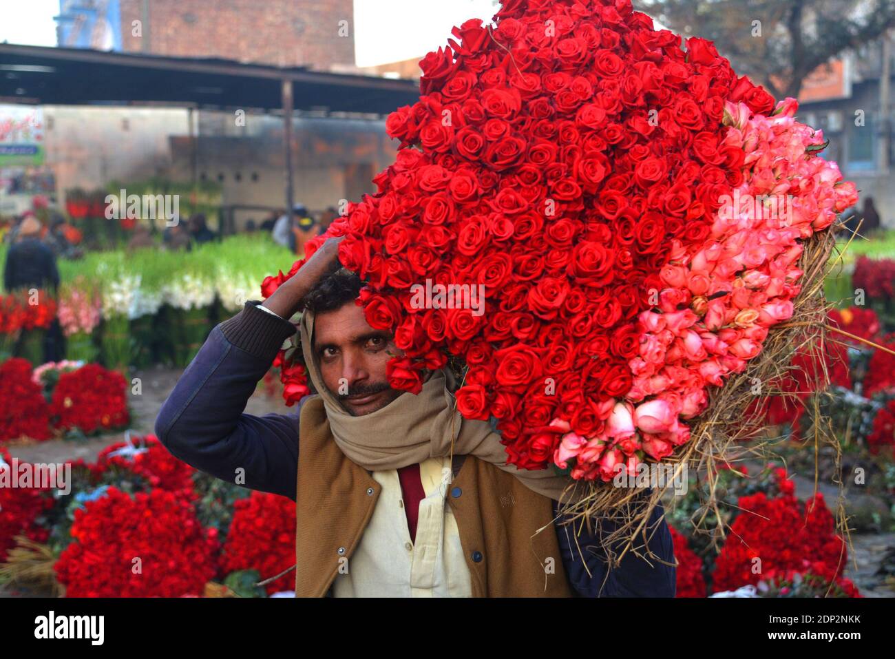 Phool mandi hi-res stock photography and images - Alamy