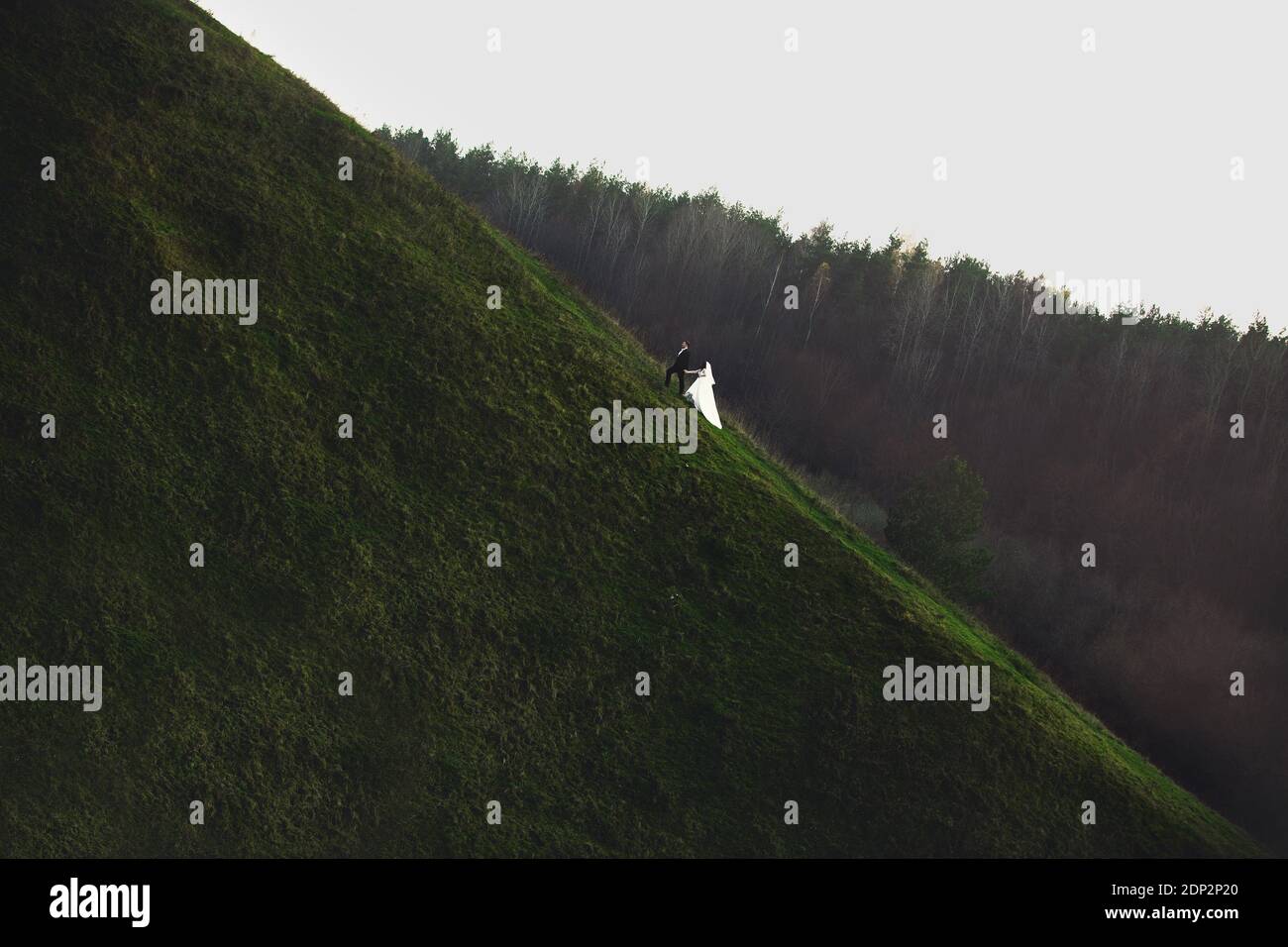 bride and groom go up a green hill in summer. photo from afar. wedding ...
