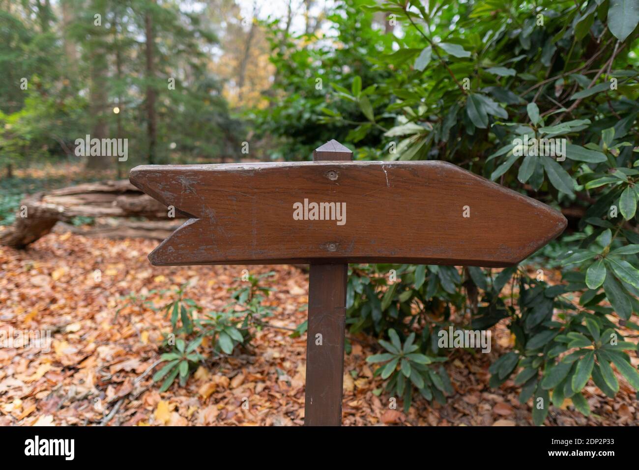 Directional signal path in hi-res stock photography and images - Alamy