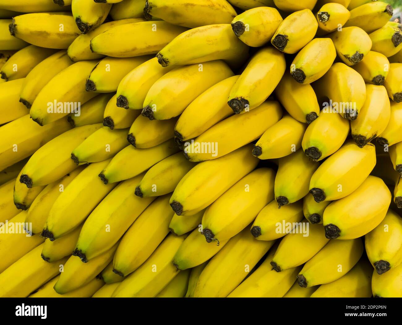 Yellow bananas hi-res stock photography and images - Alamy