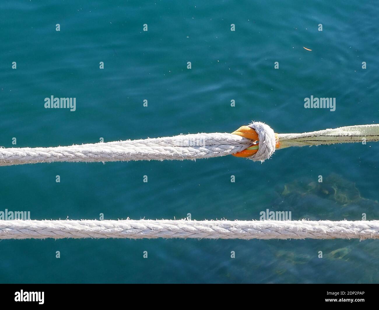 Water knot hi-res stock photography and images - Alamy
