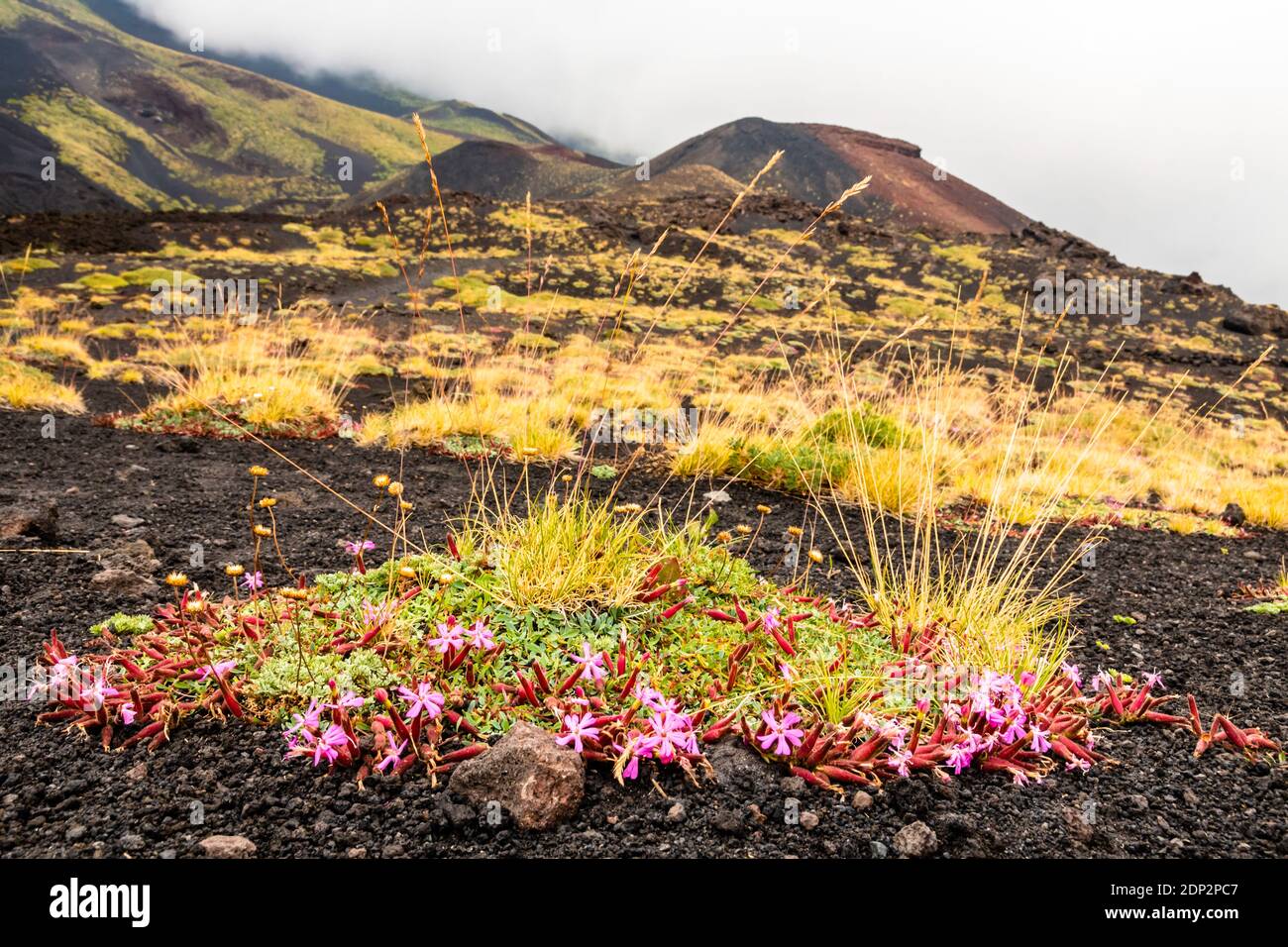 View of Etna volcano landscape among the clouds near Rifugio Sapienza ...