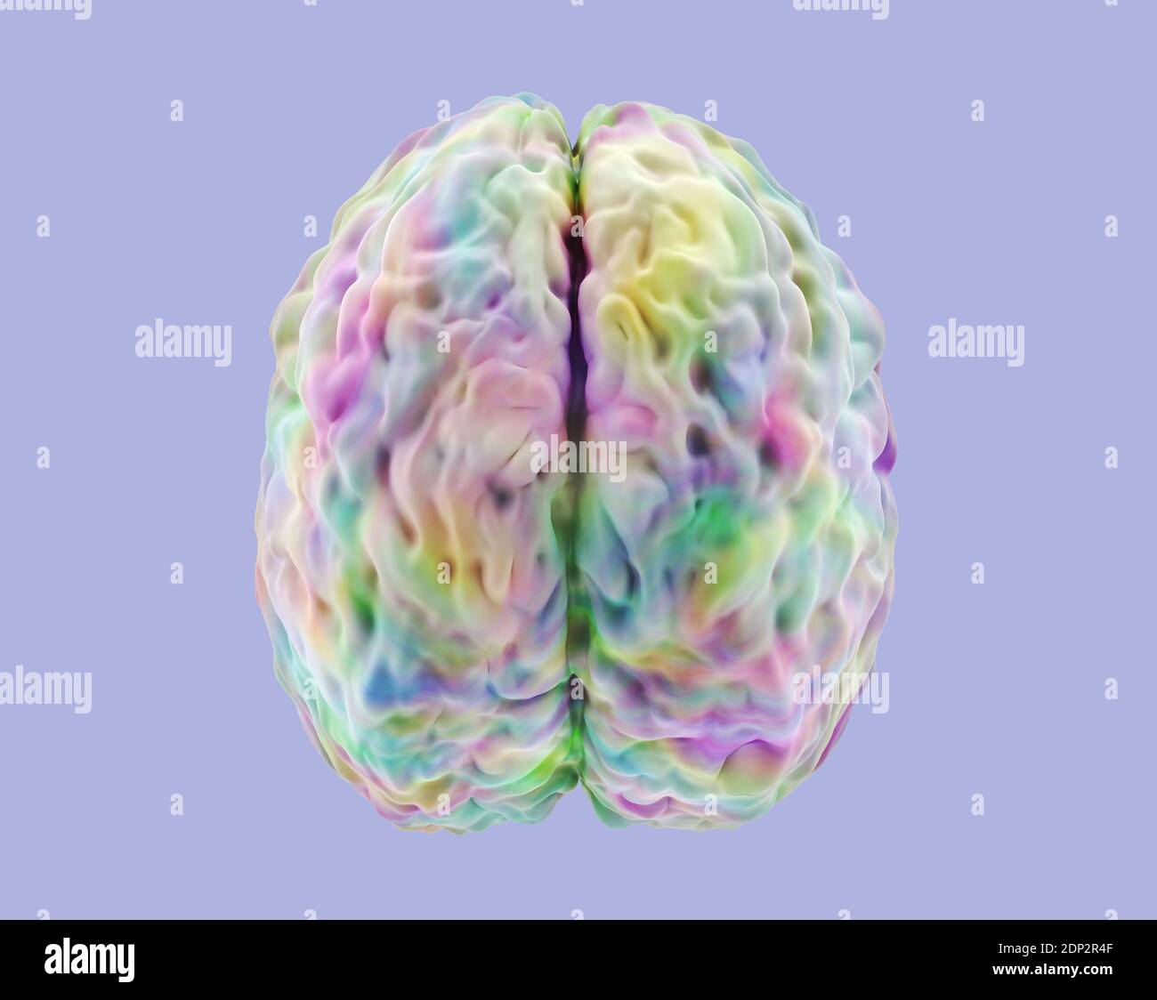 multicolor human brain model, brain activity concept, view top, 3d ...