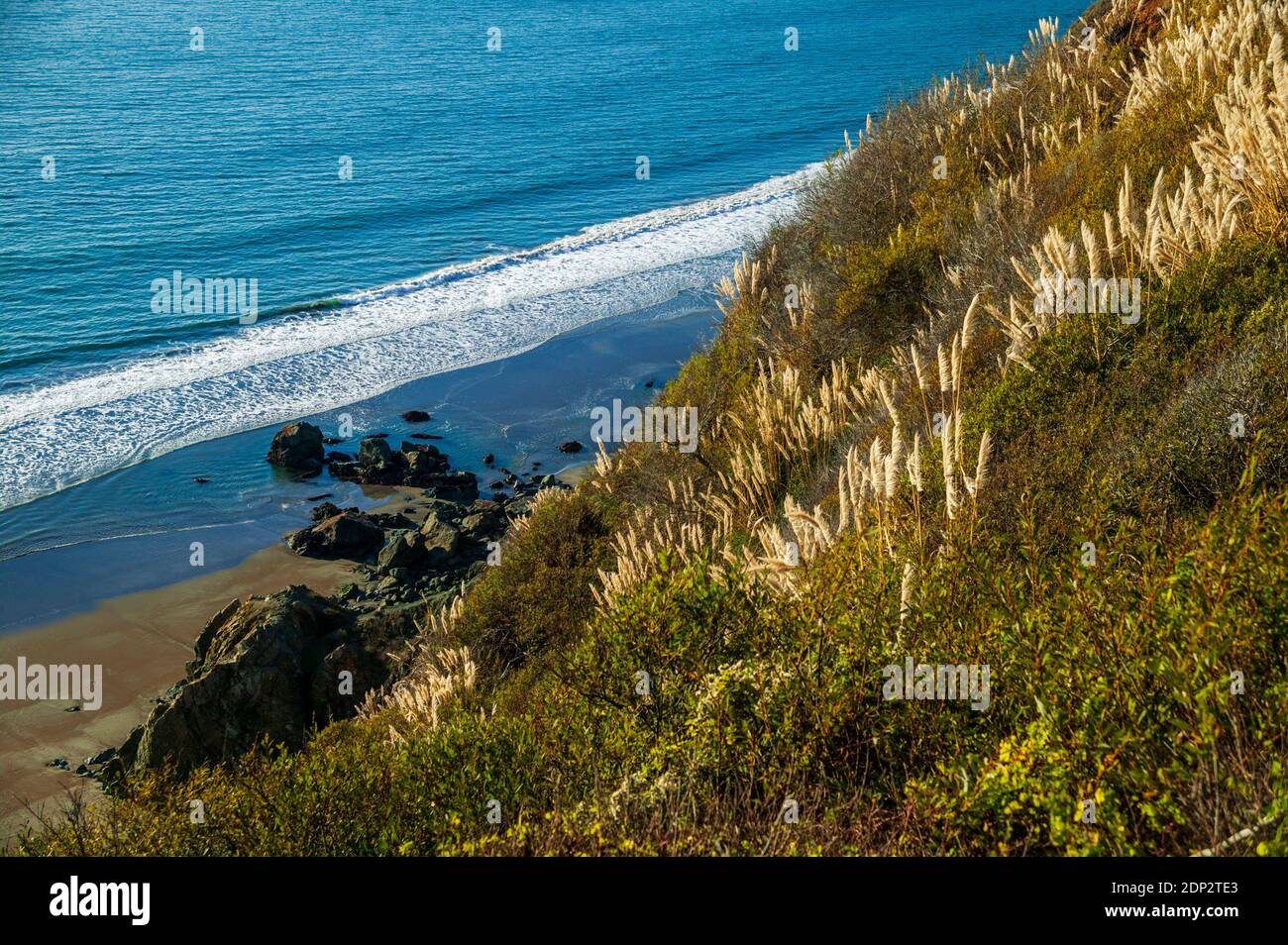 Overhead view down onto a northern California beach, waves reflecting ...
