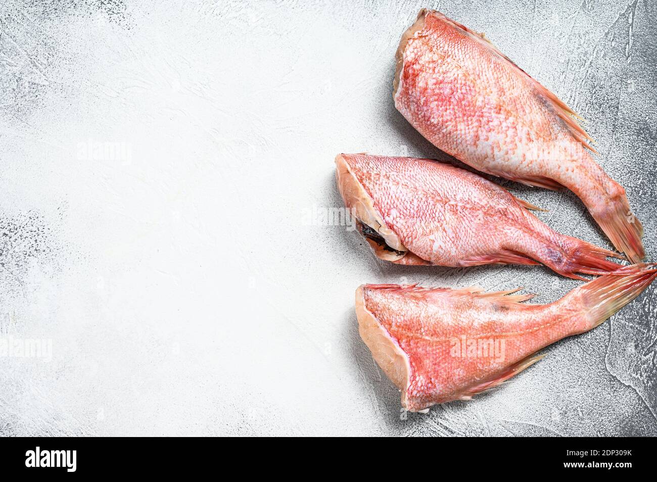 Raw Red perch or seabass fish. White background. Top view. Copy space ...