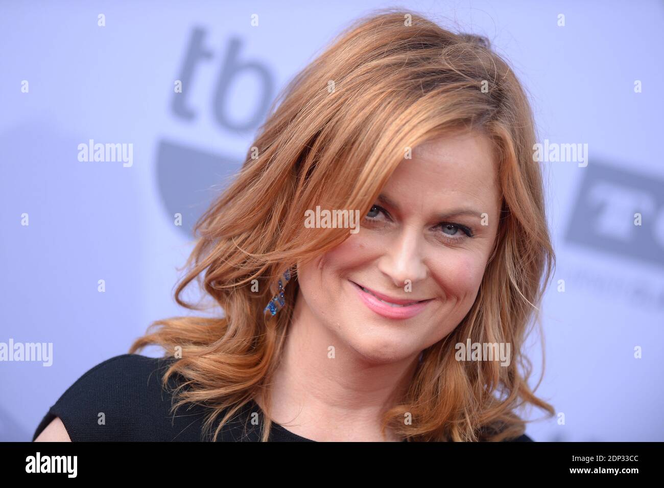 Amy Poehler attends the 2015 AFI Life Achievement Award Gala Tribute ...